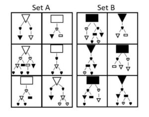 UKCAT/UCAT Test Guide: 4 Secrets to Success 2025
